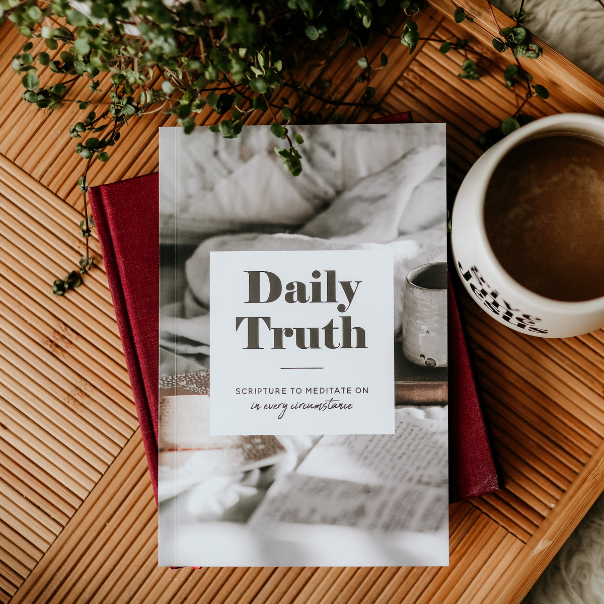 Daily Truth – The Daily Grace Co.