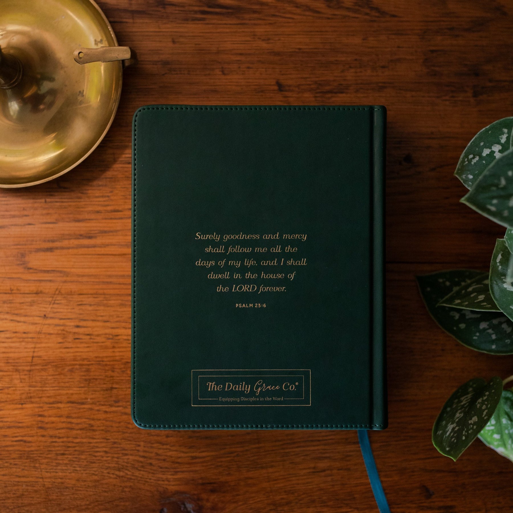 ESV Single Column Journaling Bible - Wild Rose | TDGC – The Daily Grace Co.