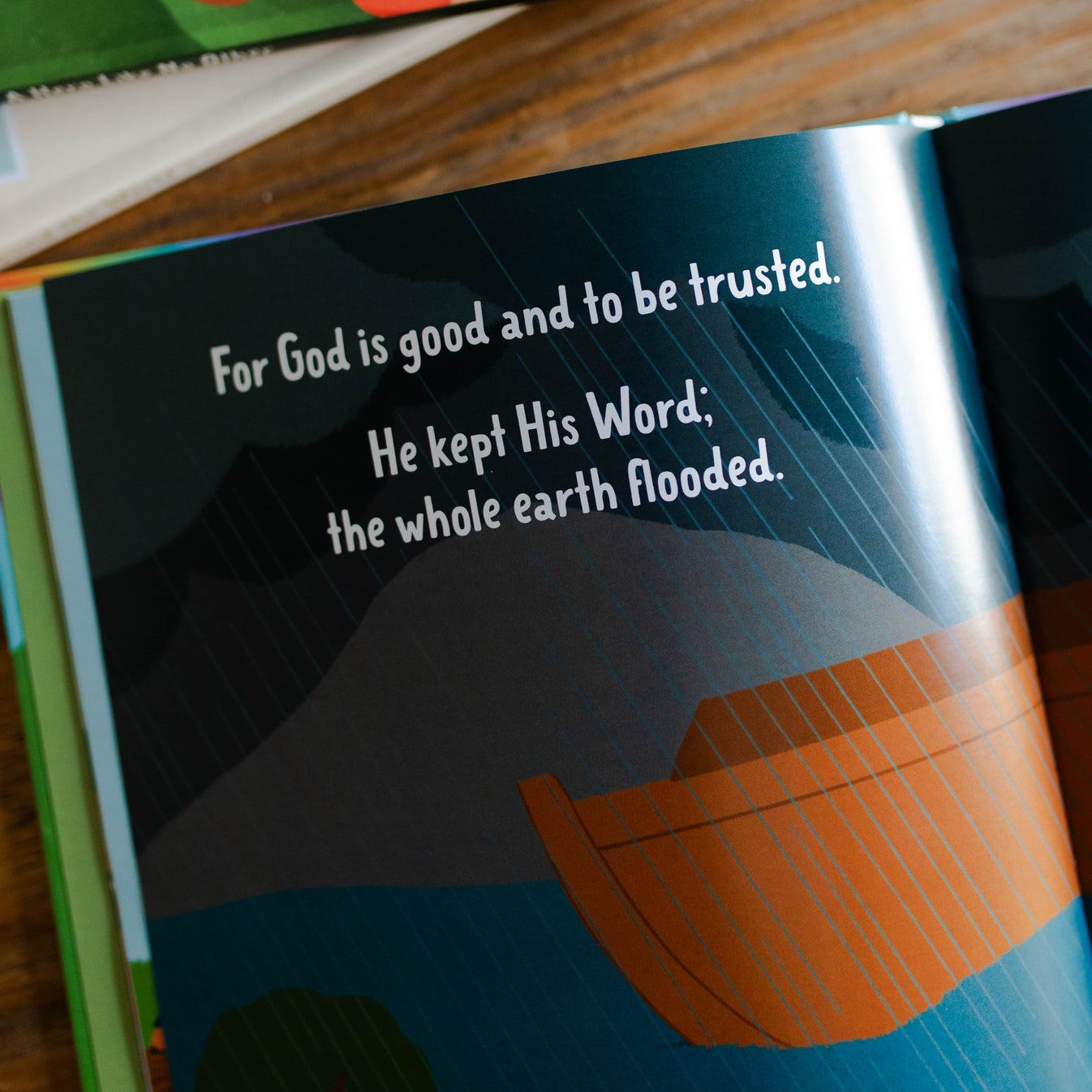 Faithful in the Flood | Children's Book – The Daily Grace Co.