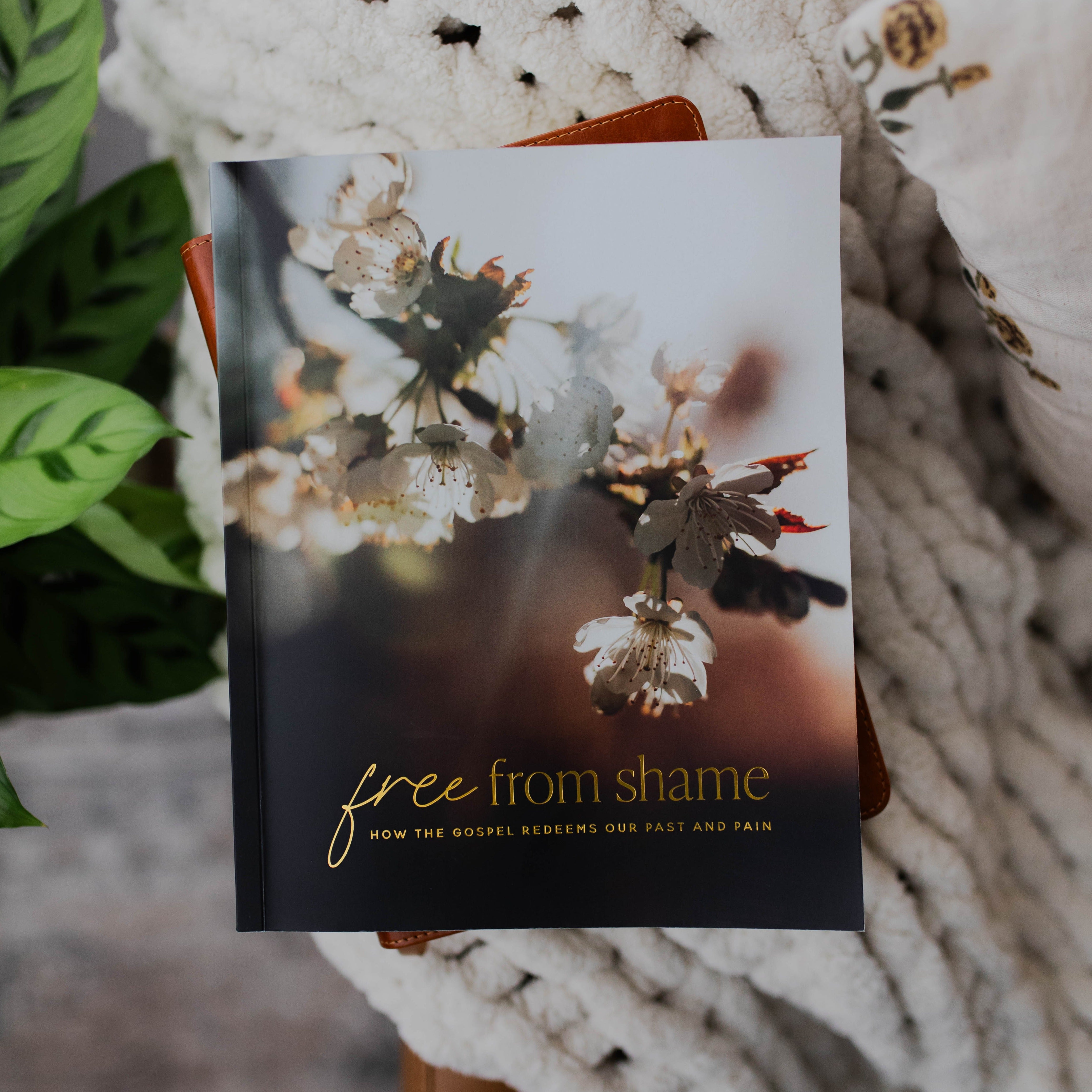 Free From Shame Study | TDGC – The Daily Grace Co.