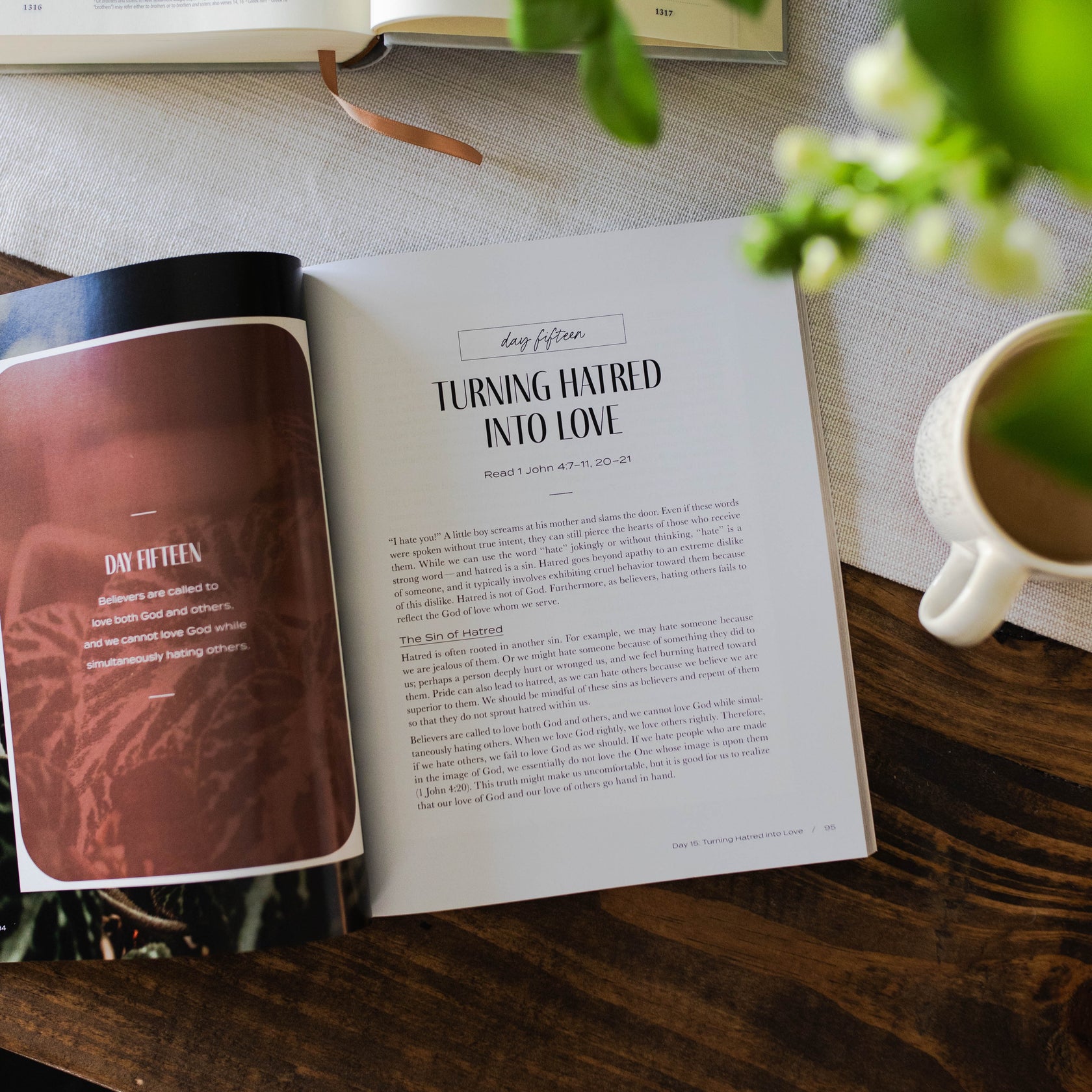 Equipping Disciples in the Word – The Daily Grace Co.