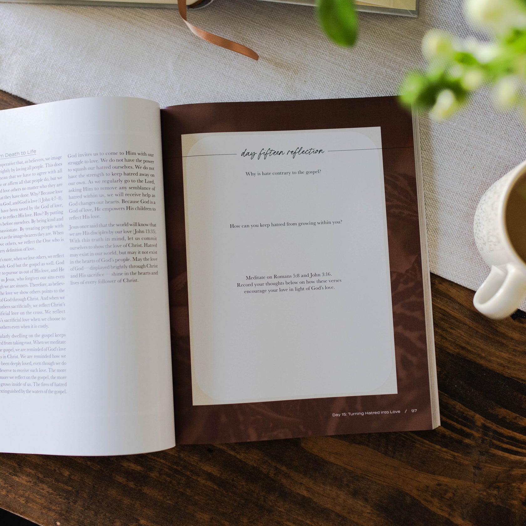 Equipping Disciples in the Word – The Daily Grace Co.