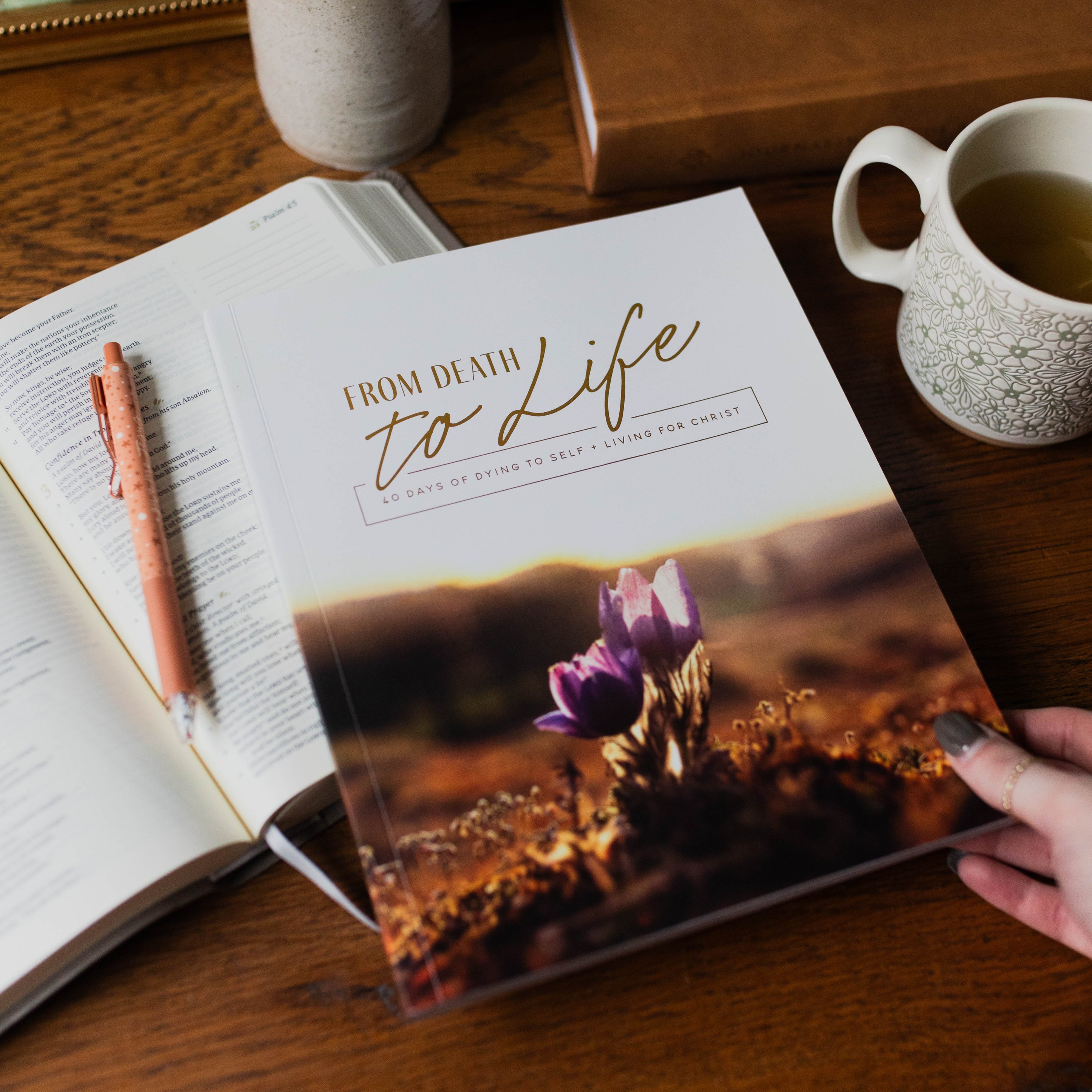 Equipping Disciples in the Word – The Daily Grace Co.