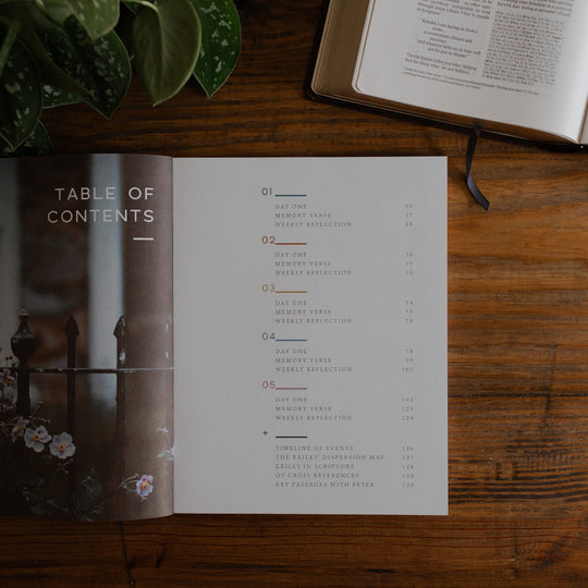 All Bible Studies – Page 2 – The Daily Grace Co.