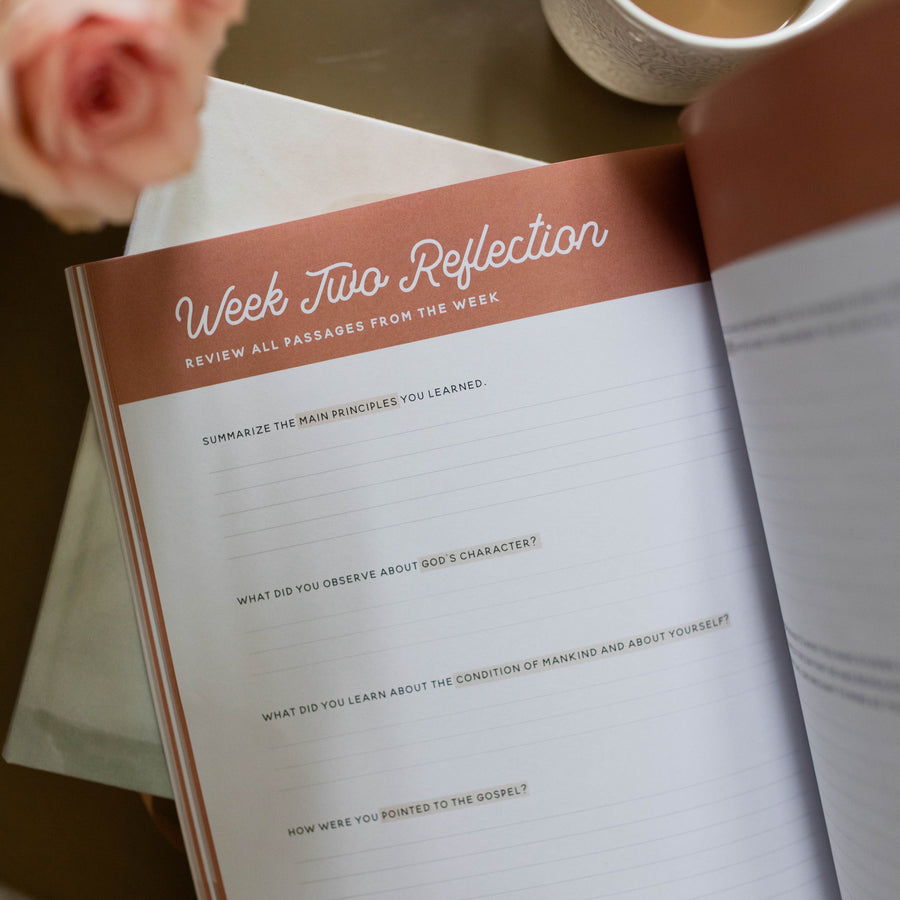 Growing in Grace Bible Study | TDGC – The Daily Grace Co.