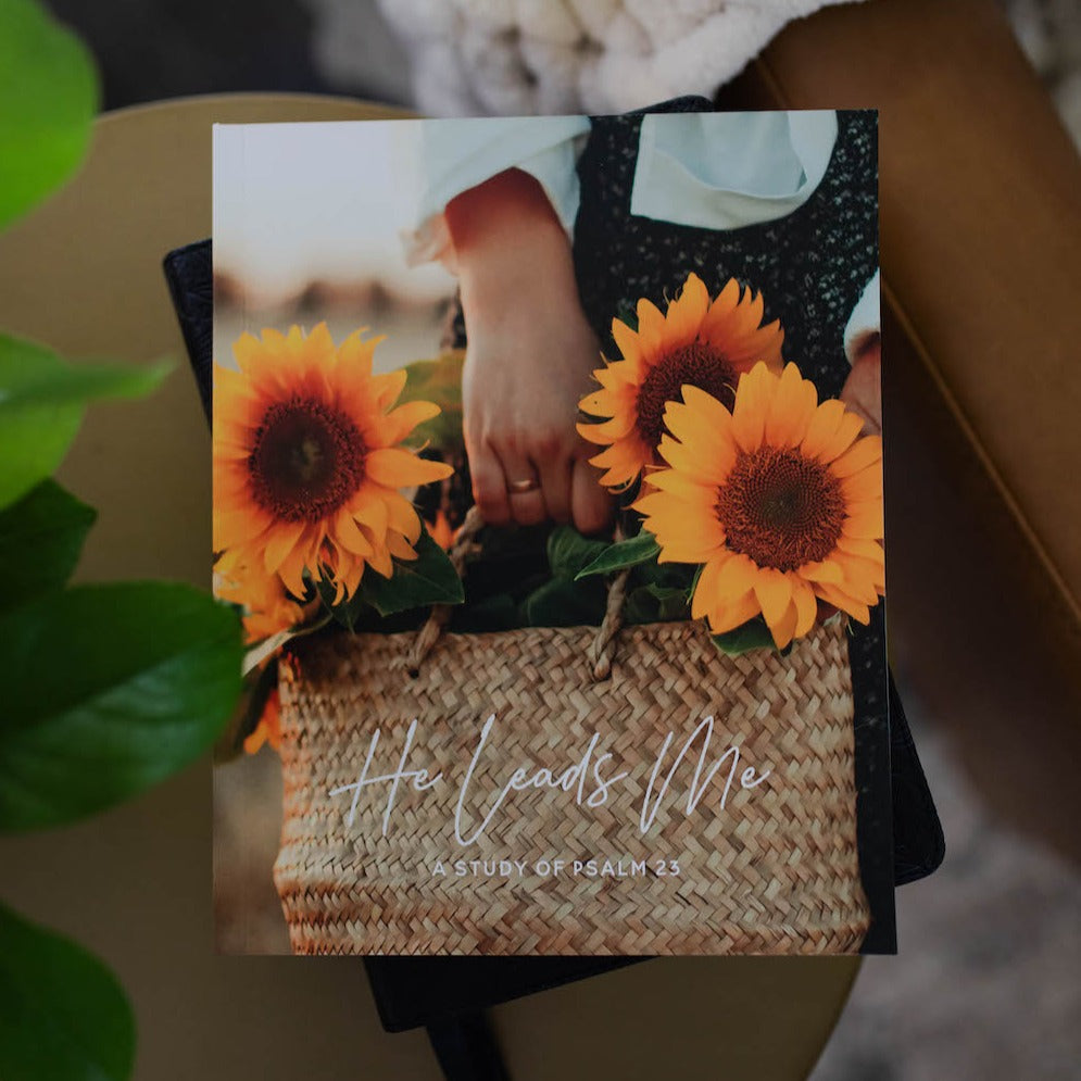 He Leads Me Bible Study | Psalm 23 | TDGC – The Daily Grace Co.