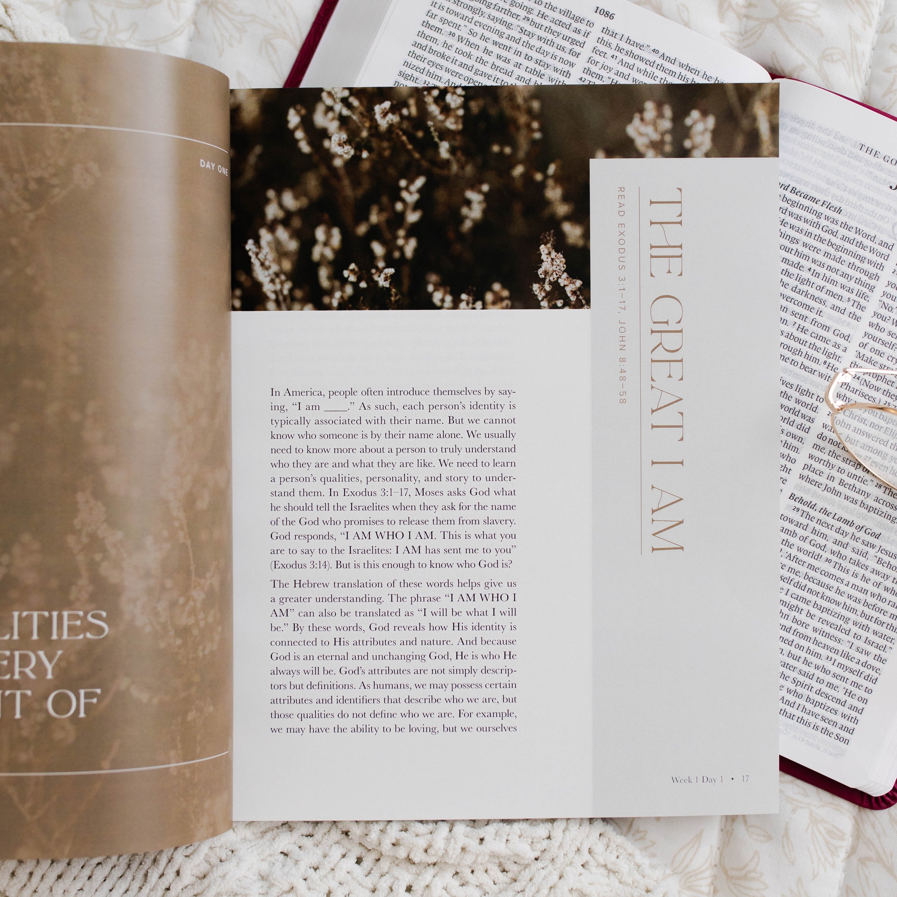 Equipping Disciples in the Word – The Daily Grace Co.