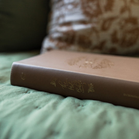 ESV Journaling Bible - Lamp and Light | TDGC – The Daily Grace Co.