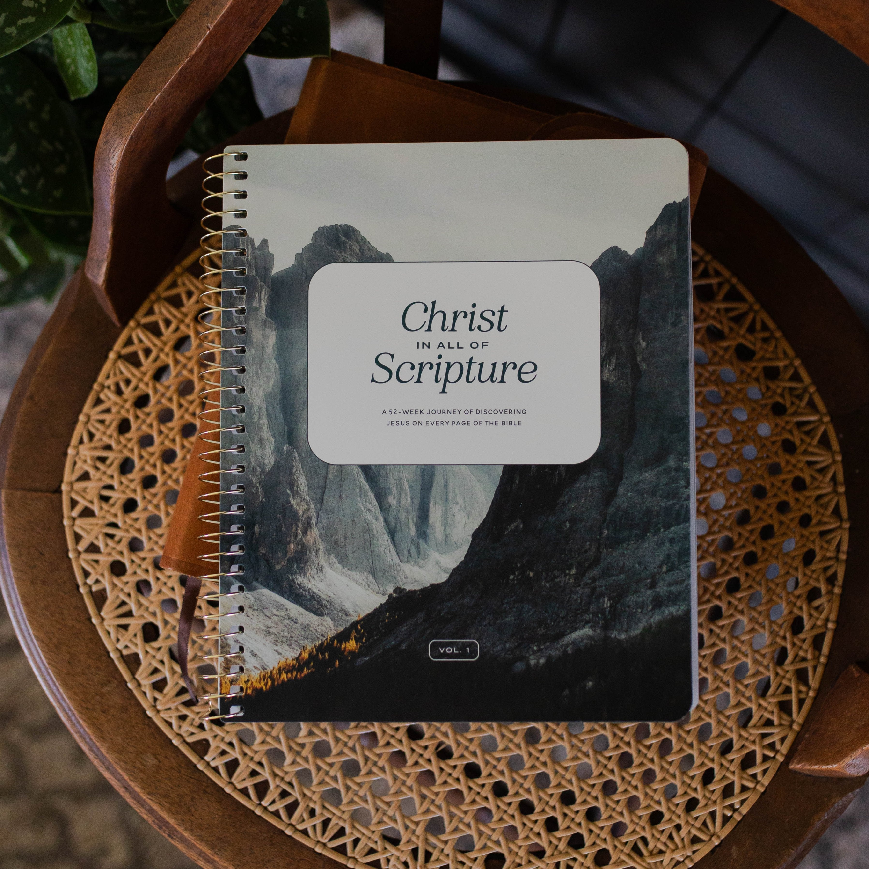 Christ in All of Scripture | Volume 1 | Men | TDGC – The Daily Grace Co.