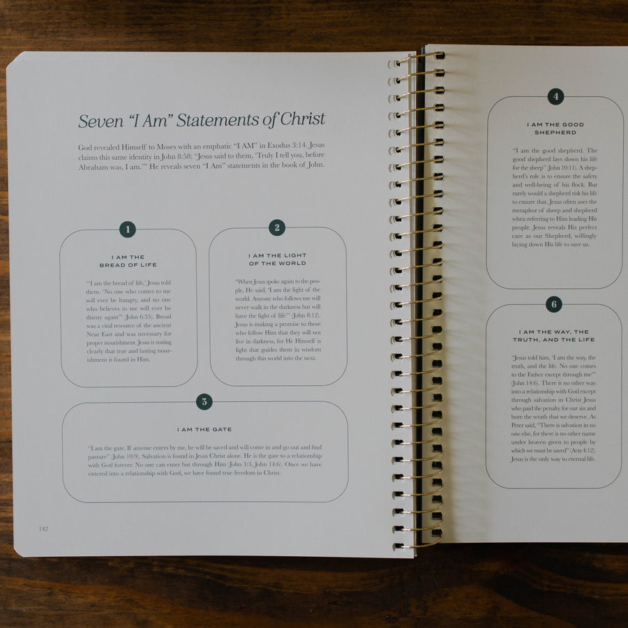Christ in All of Scripture | Volume 1 | Men | TDGC – The Daily Grace Co.