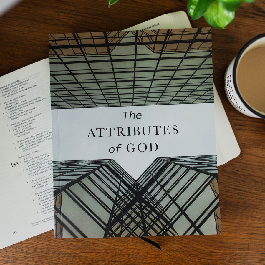 The Attributes of God Bible Study - Men | TDGC – The Daily Grace Co.