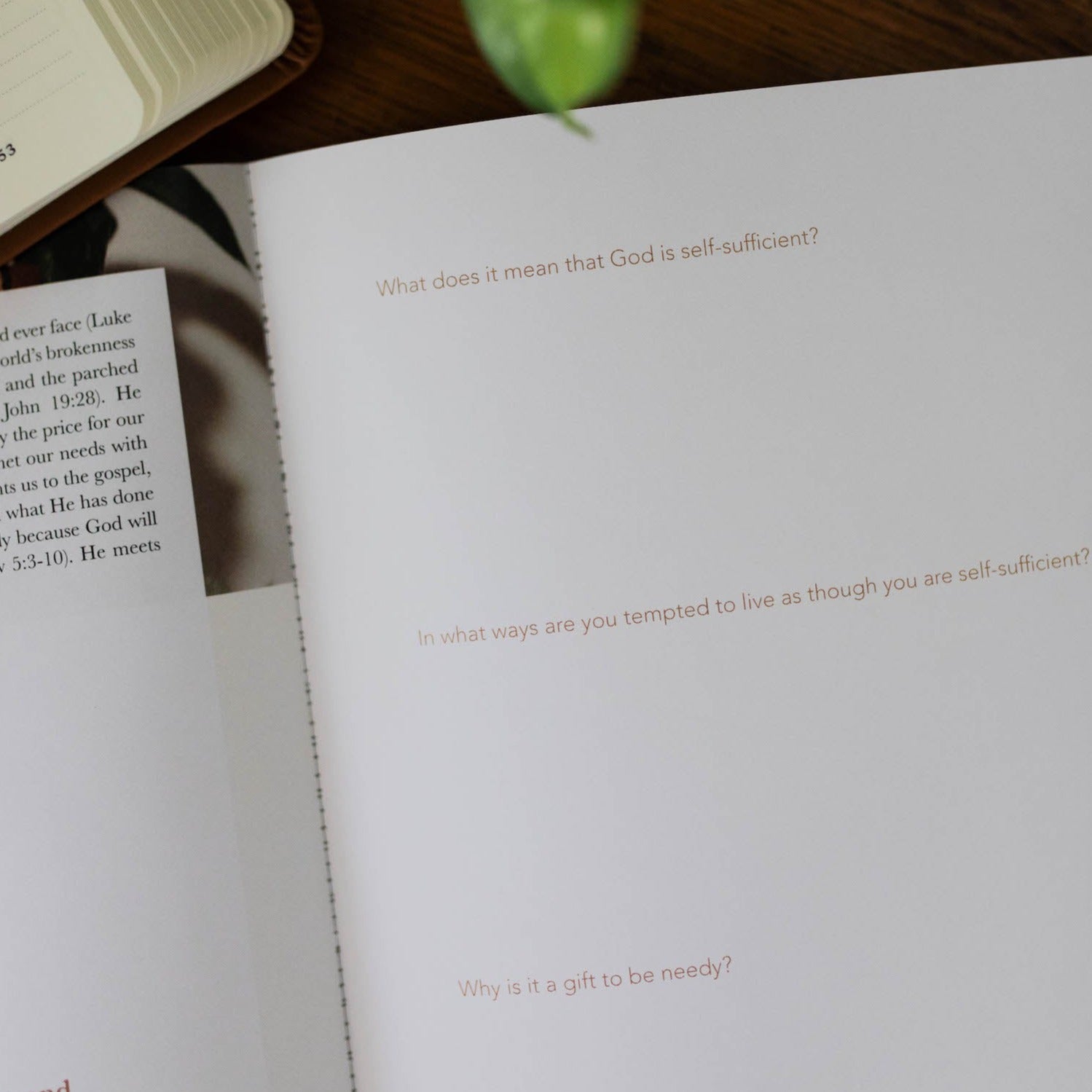 The Attributes of God Bible Study - Men | TDGC – The Daily Grace Co.
