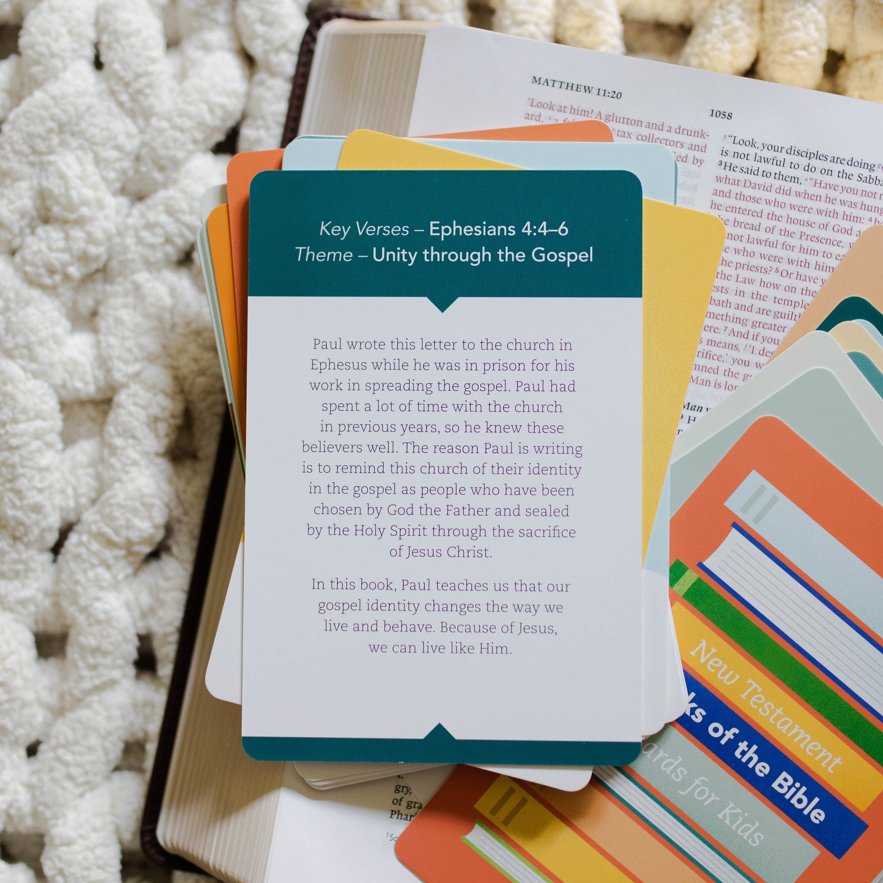 NT Books of the Bible Cards - Kids | TDGC – The Daily Grace Co.
