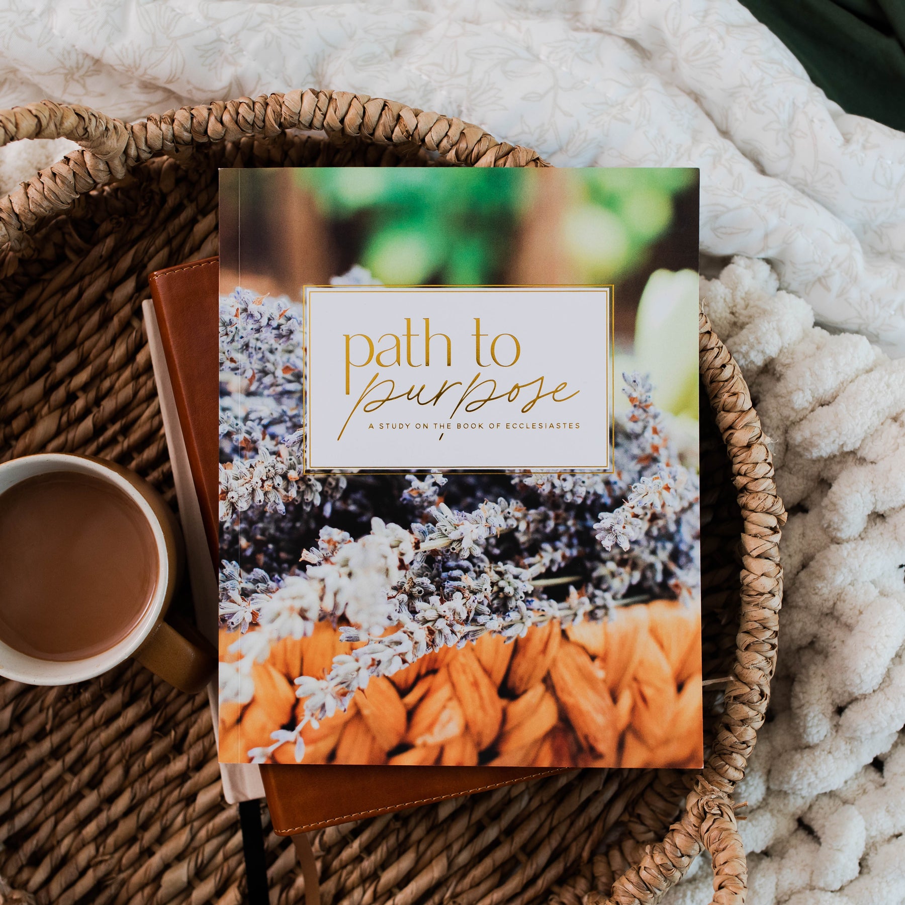 Path to Purpose Study | TDGC – The Daily Grace Co.