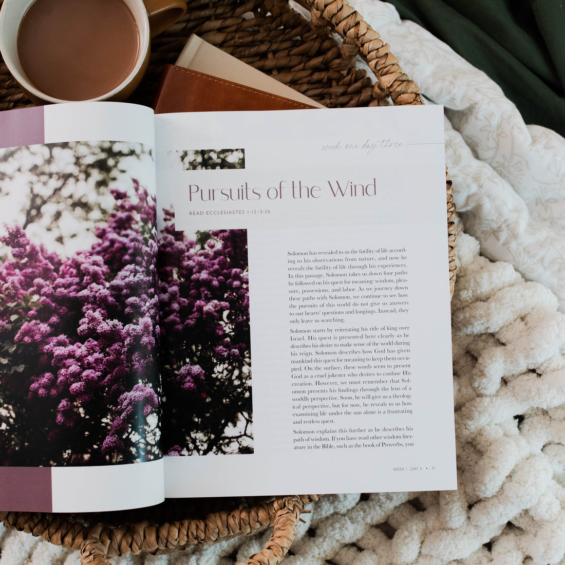 Equipping Disciples in the Word – The Daily Grace Co.