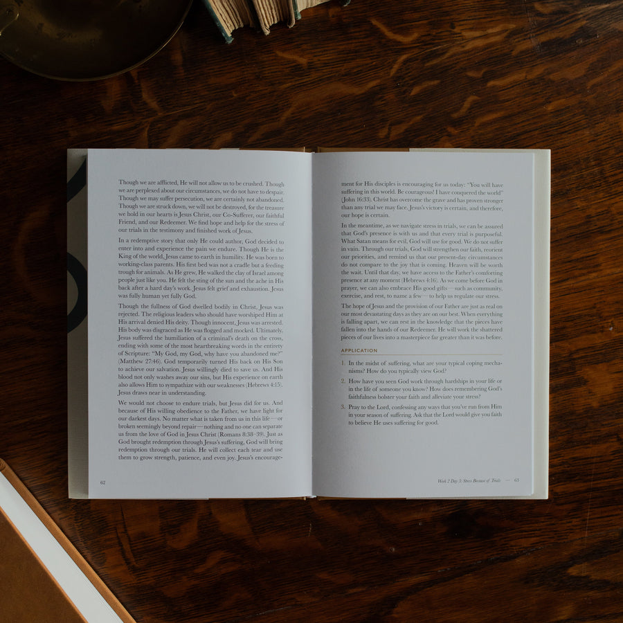 Peace Under Pressure | Men's Study | TDGC – The Daily Grace Co.