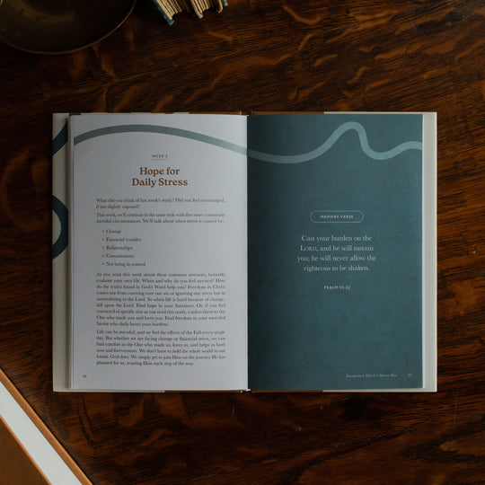 Peace Under Pressure | Men's Study | TDGC – The Daily Grace Co.