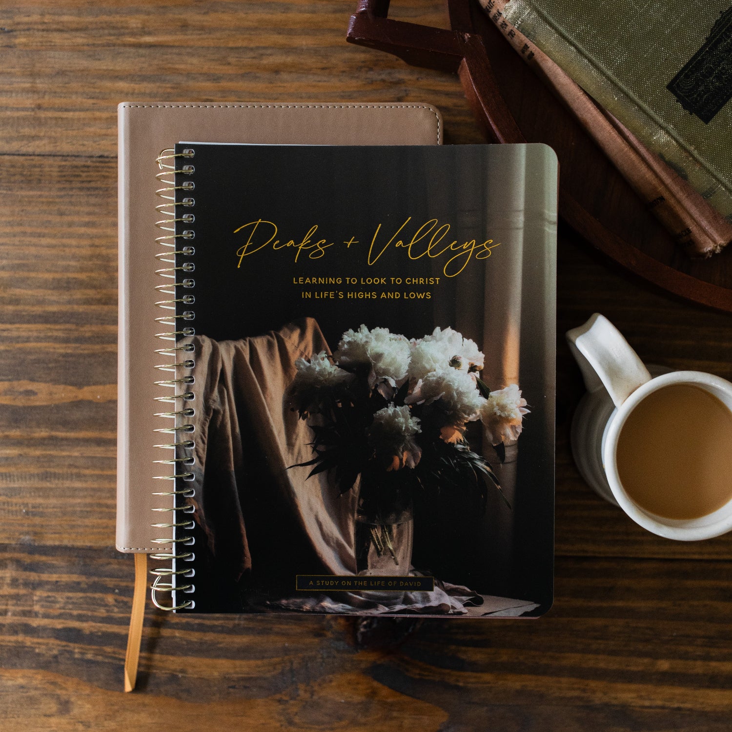 Peaks and Valleys - Study on David | TDGC – The Daily Grace Co.