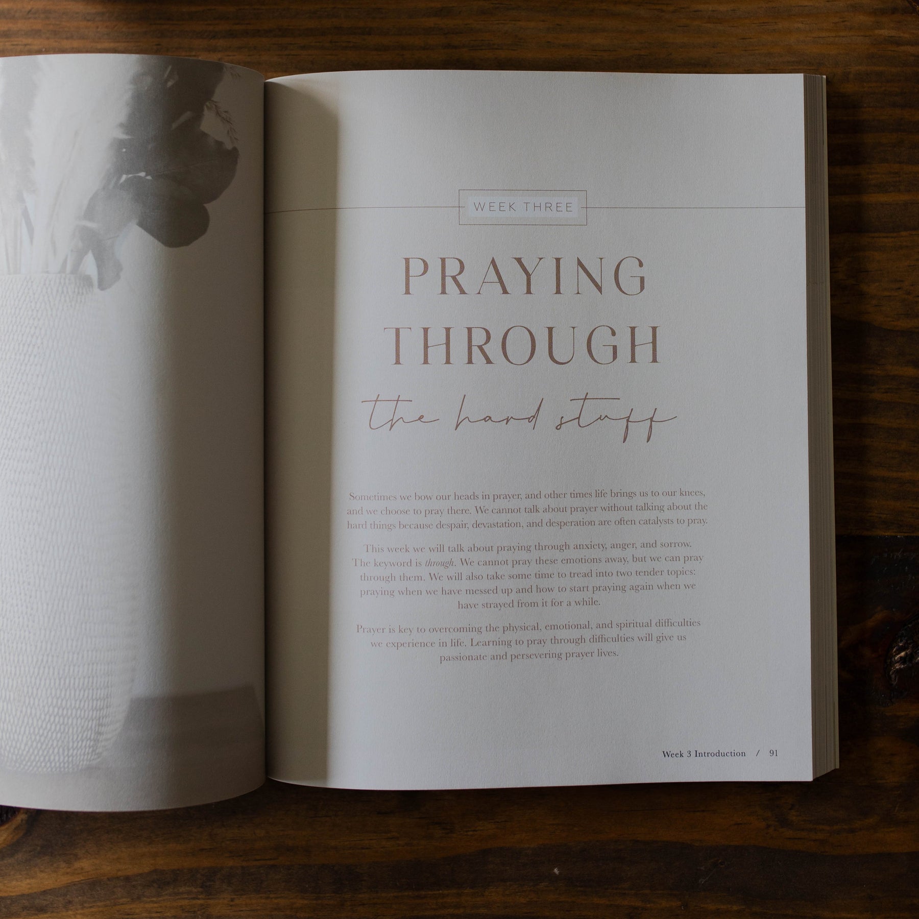 Pray Study | TDGC – The Daily Grace Co.