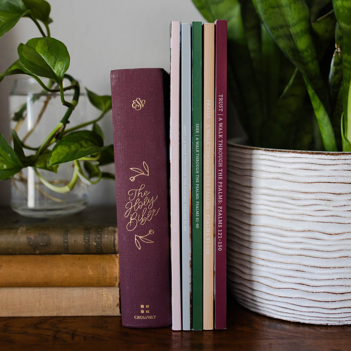 The Book of Psalms Study Series | TDGC – The Daily Grace Co.