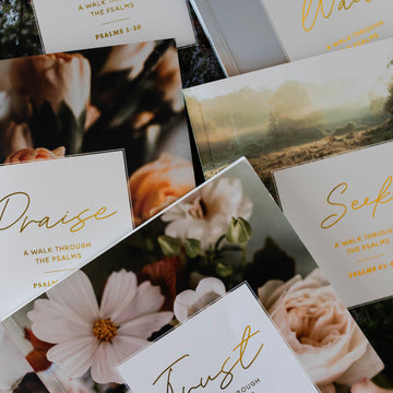 The Book of Psalms Study Series | TDGC – The Daily Grace Co.