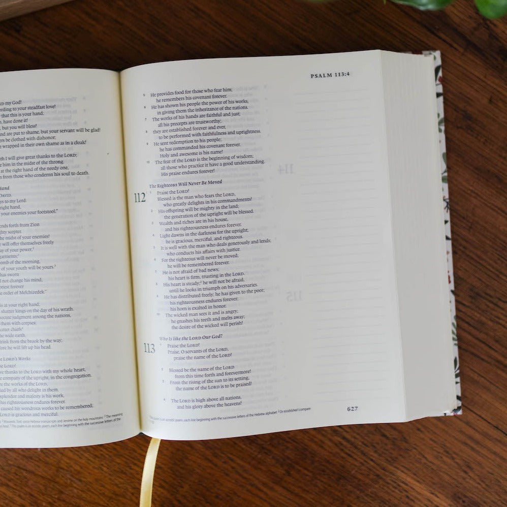 Daily Grace Co. Bible | ESV Single Column Journaling Bible® | Rust ...