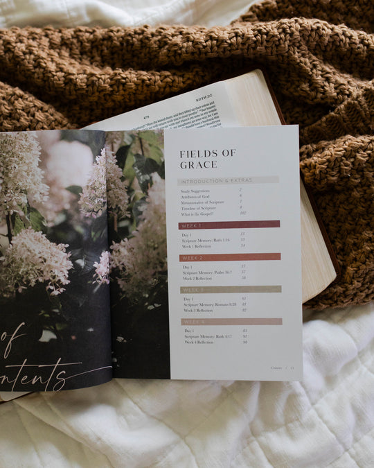 Women's Studies – The Daily Grace Co.