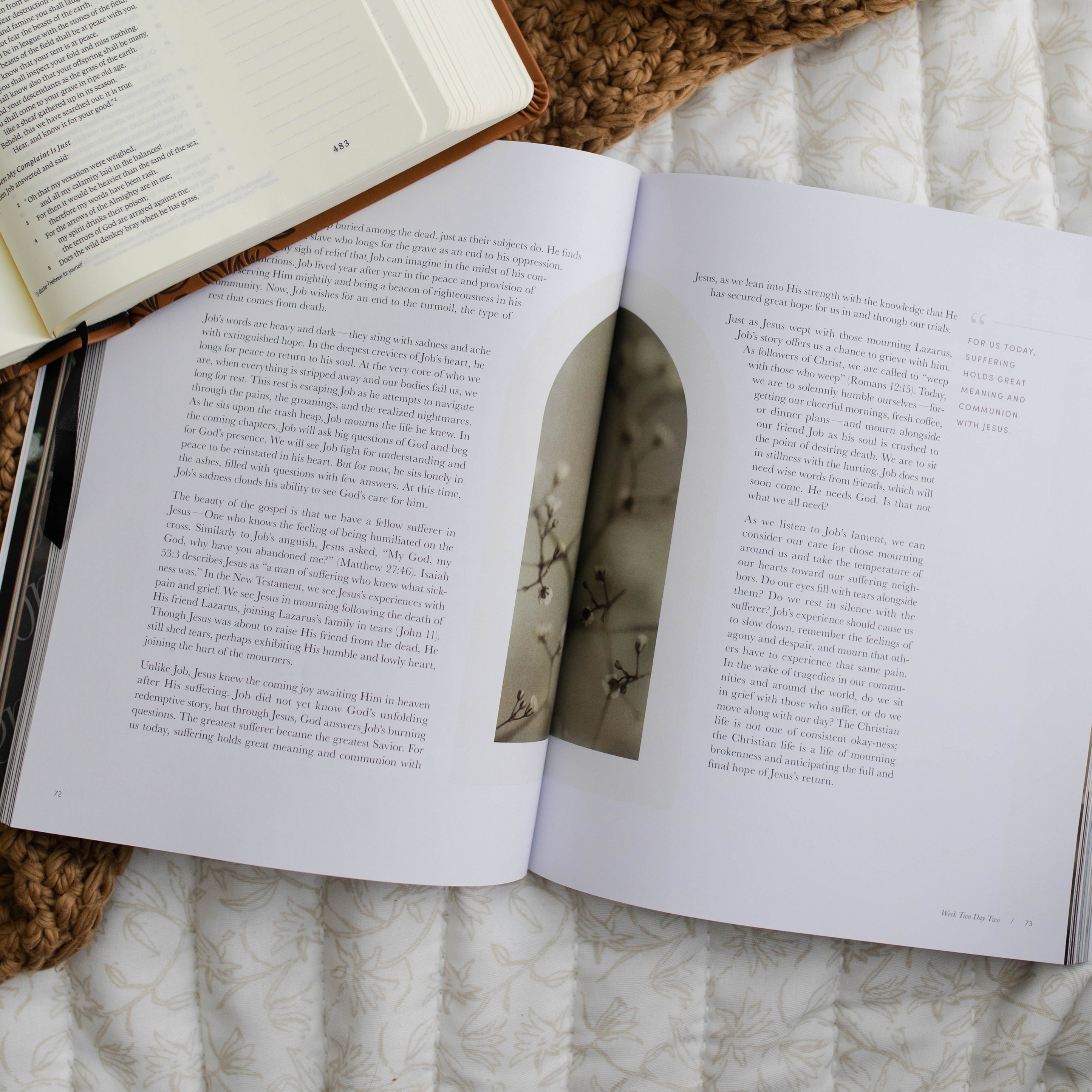 Equipping Disciples in the Word – The Daily Grace Co.