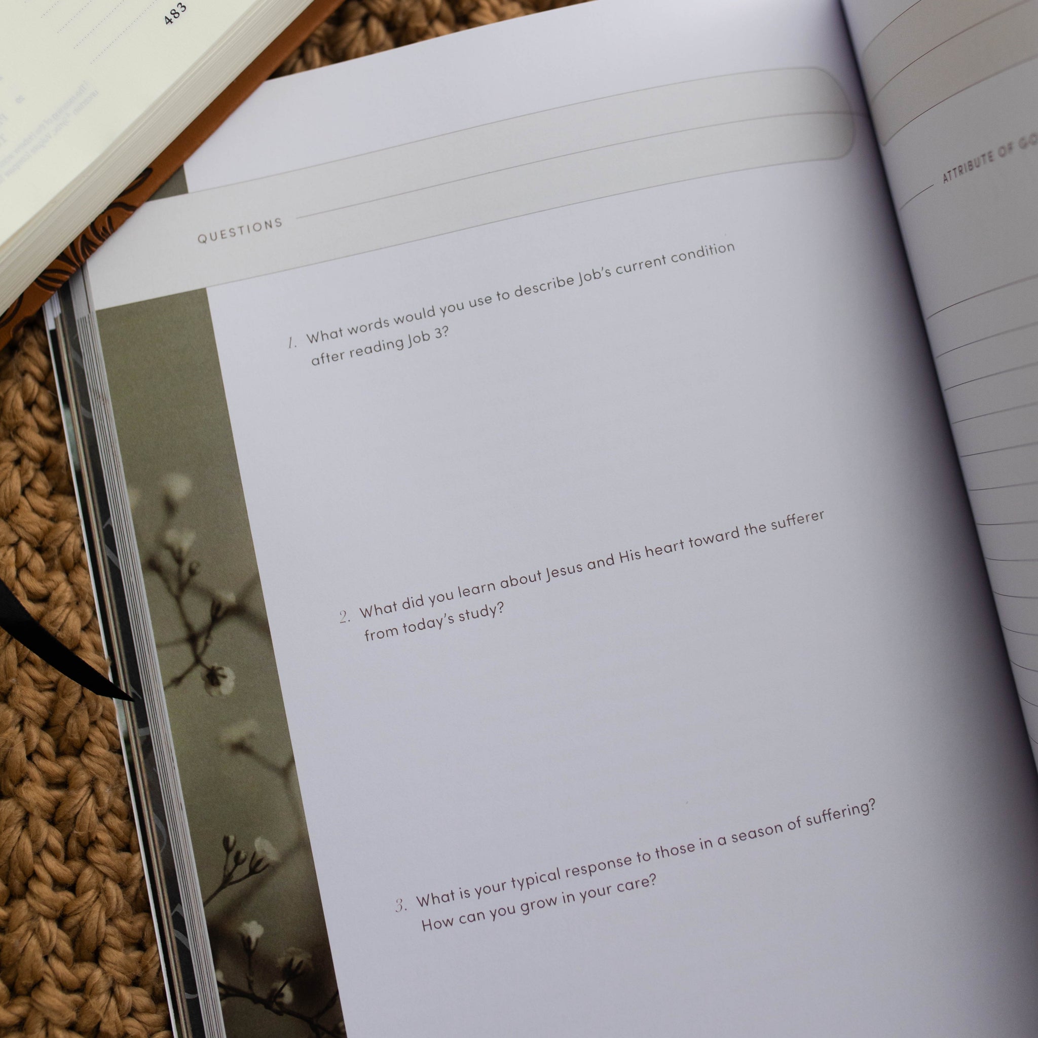 Equipping Disciples in the Word – The Daily Grace Co.