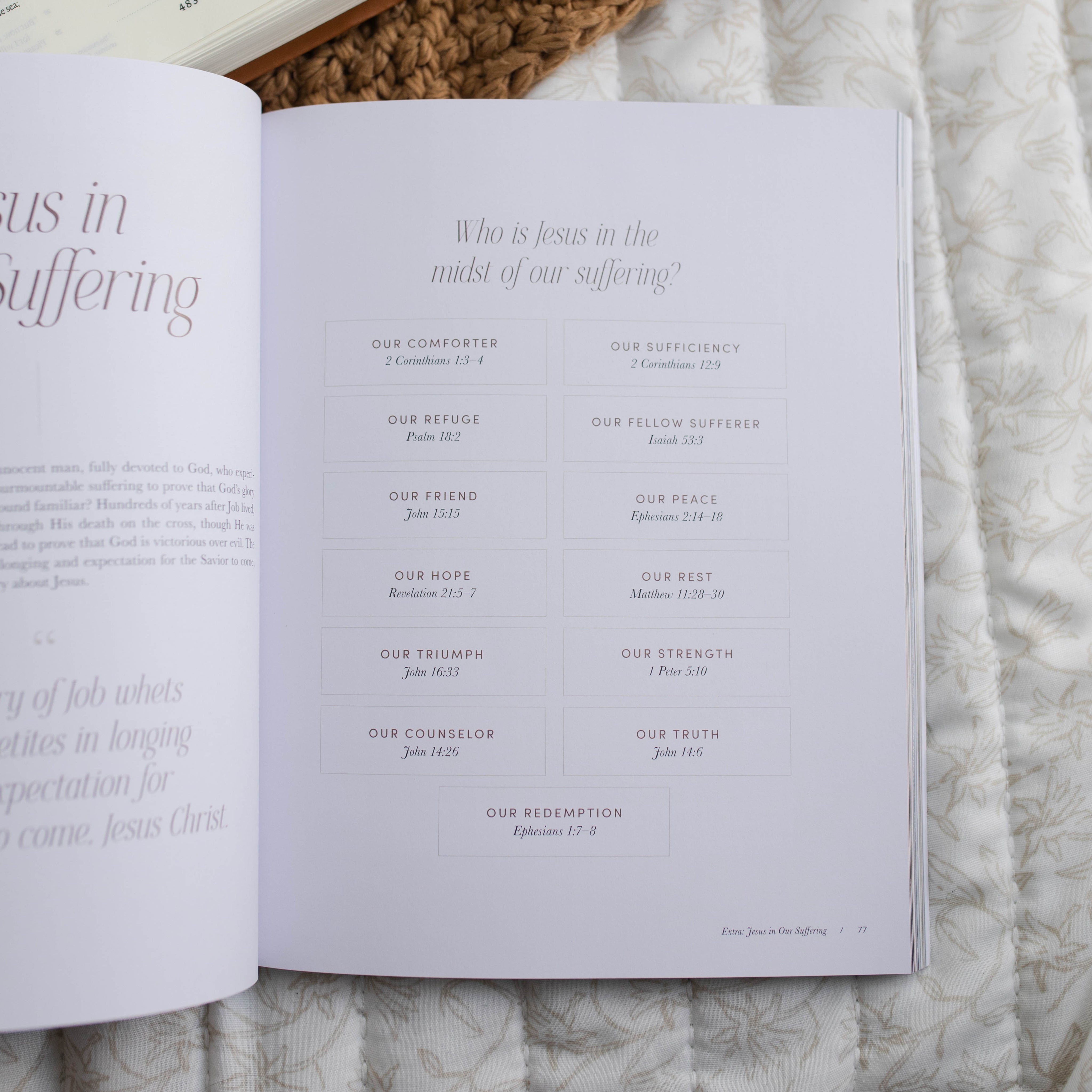 Equipping Disciples in the Word – The Daily Grace Co.