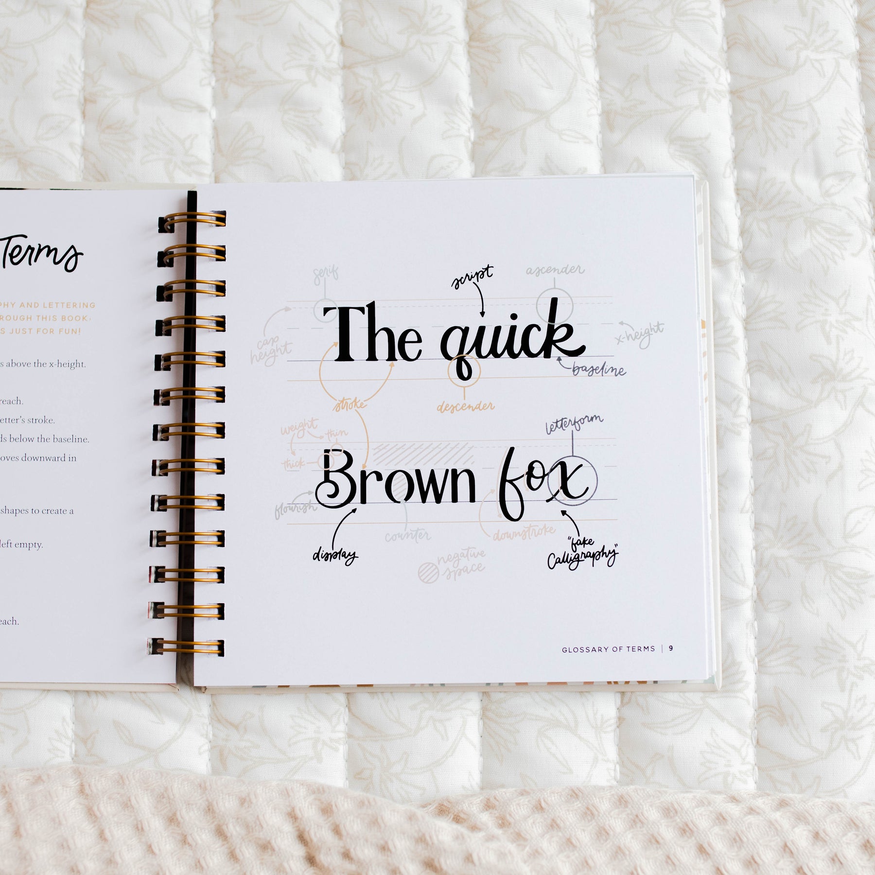 Daily Grace Scripture Lettering Workbook | The Daily Grace Co.