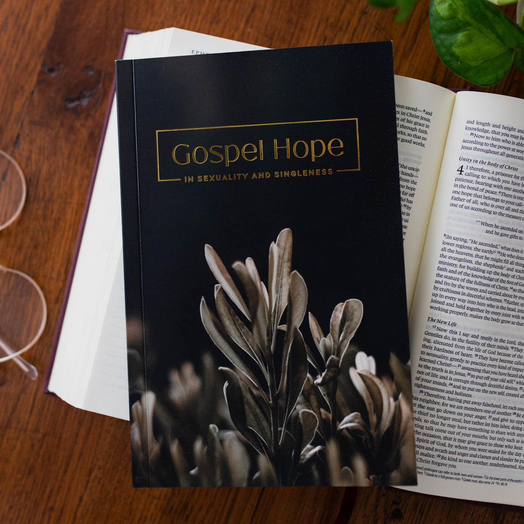 New – The Daily Grace Co.