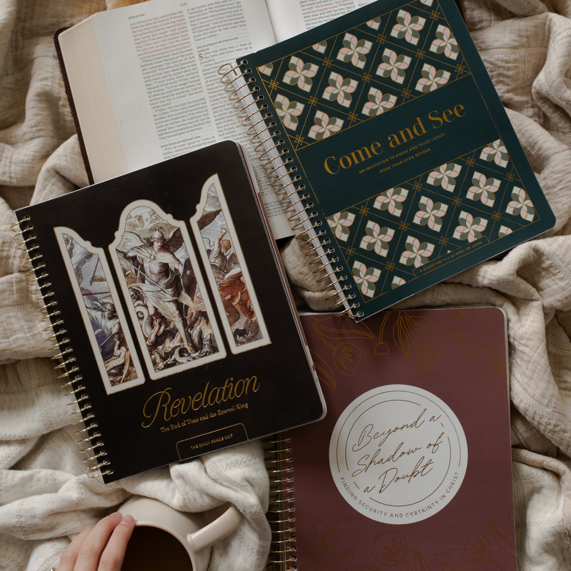 A Year in the Bible | 4 Volume Bundle – The Daily Grace Co.