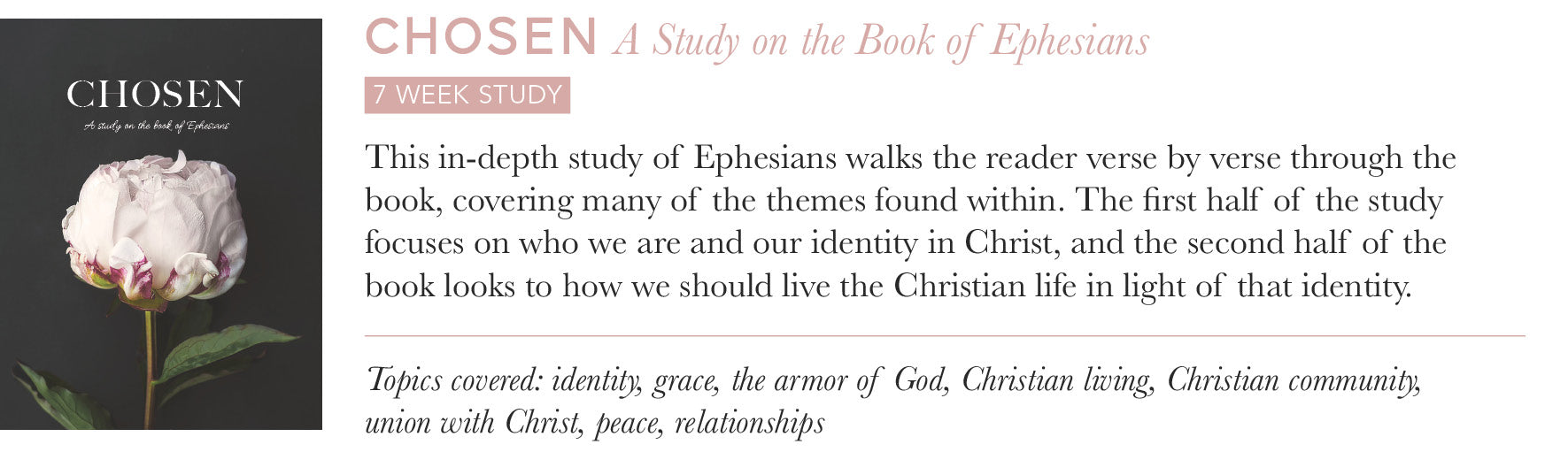 Choose A Bible Study – The Daily Grace Co.