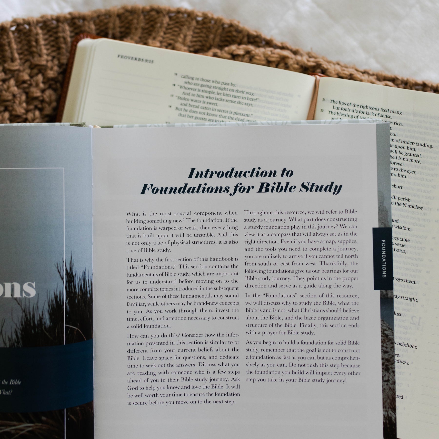 The Bible Study Handbook | TDGC – The Daily Grace Co.