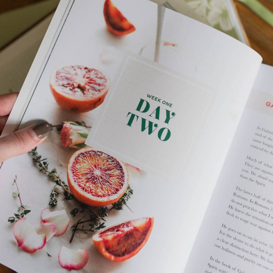 The Fruit of the Spirit Bible Study | TDGC – The Daily Grace Co.
