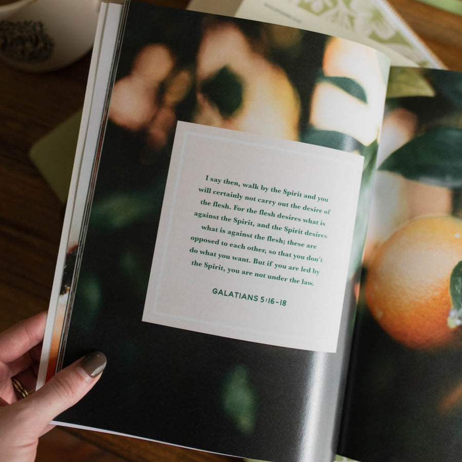 The Fruit of the Spirit Bible Study | TDGC – The Daily Grace Co.
