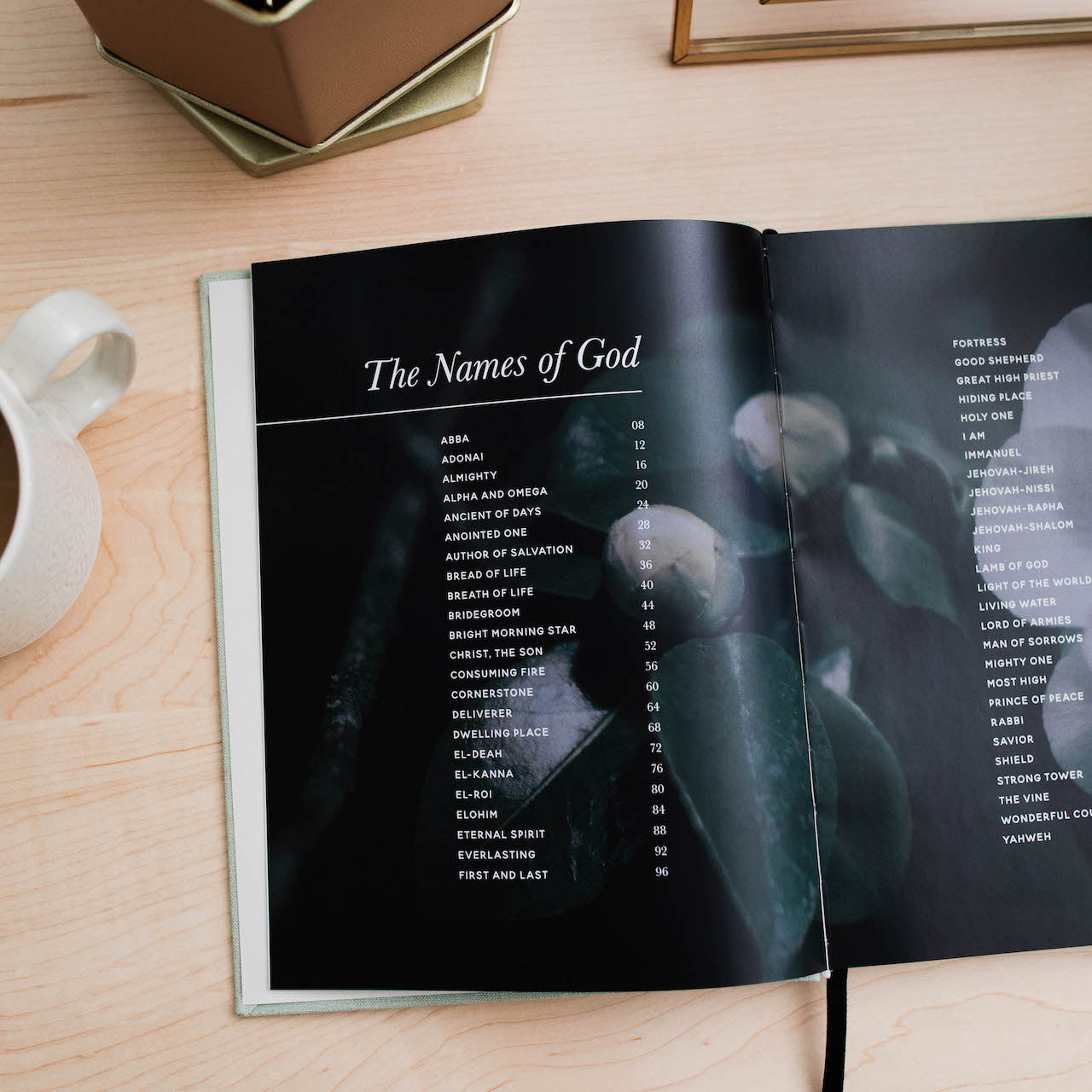 The Names of God | TDGC – The Daily Grace Co.