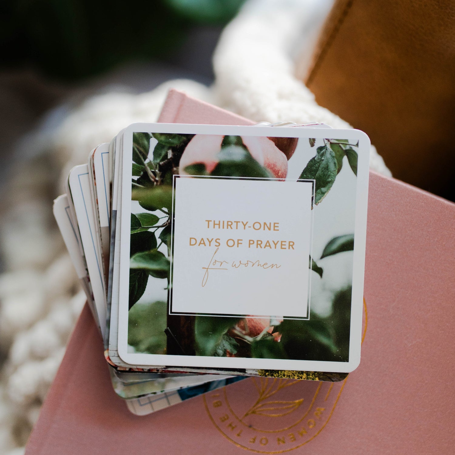31 Days of Prayer for Women Verse Card Set | TDGC – The Daily Grace Co.