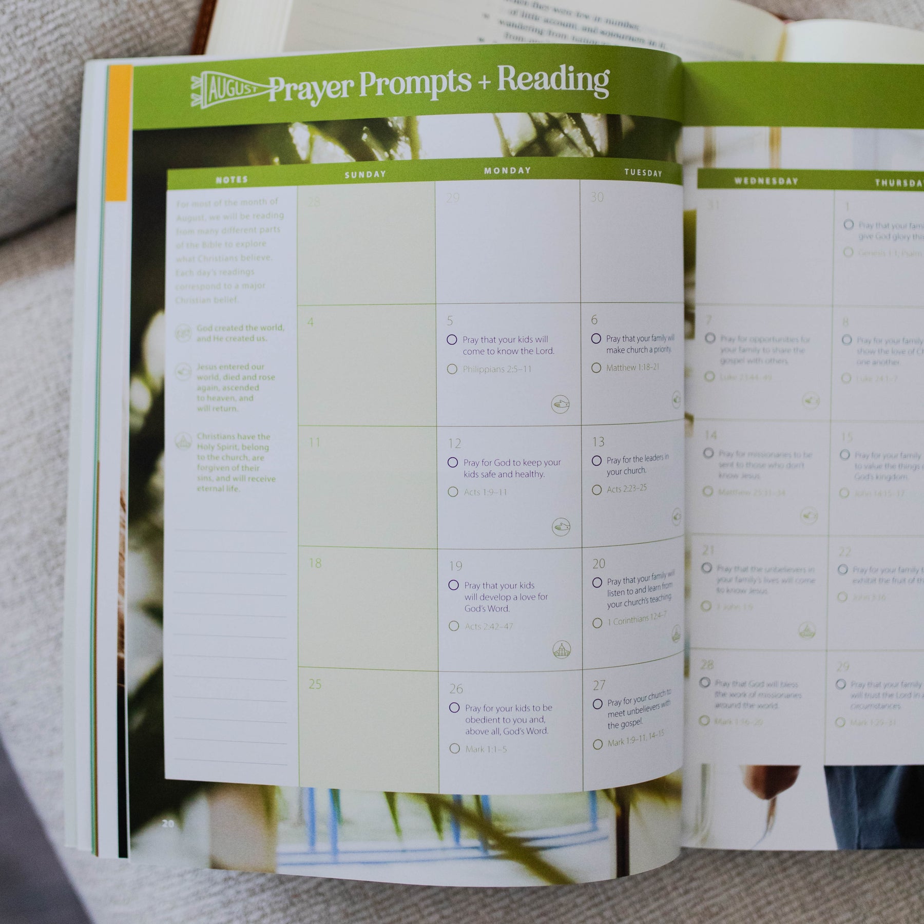 Together Toward Jesus: Family Prayer Calendar | TDGC – The Daily Grace Co.