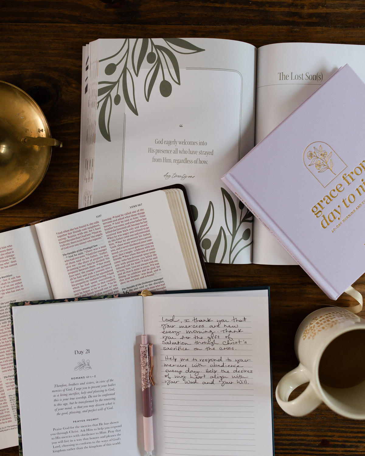 Equipping Disciples in the Word – The Daily Grace Co.