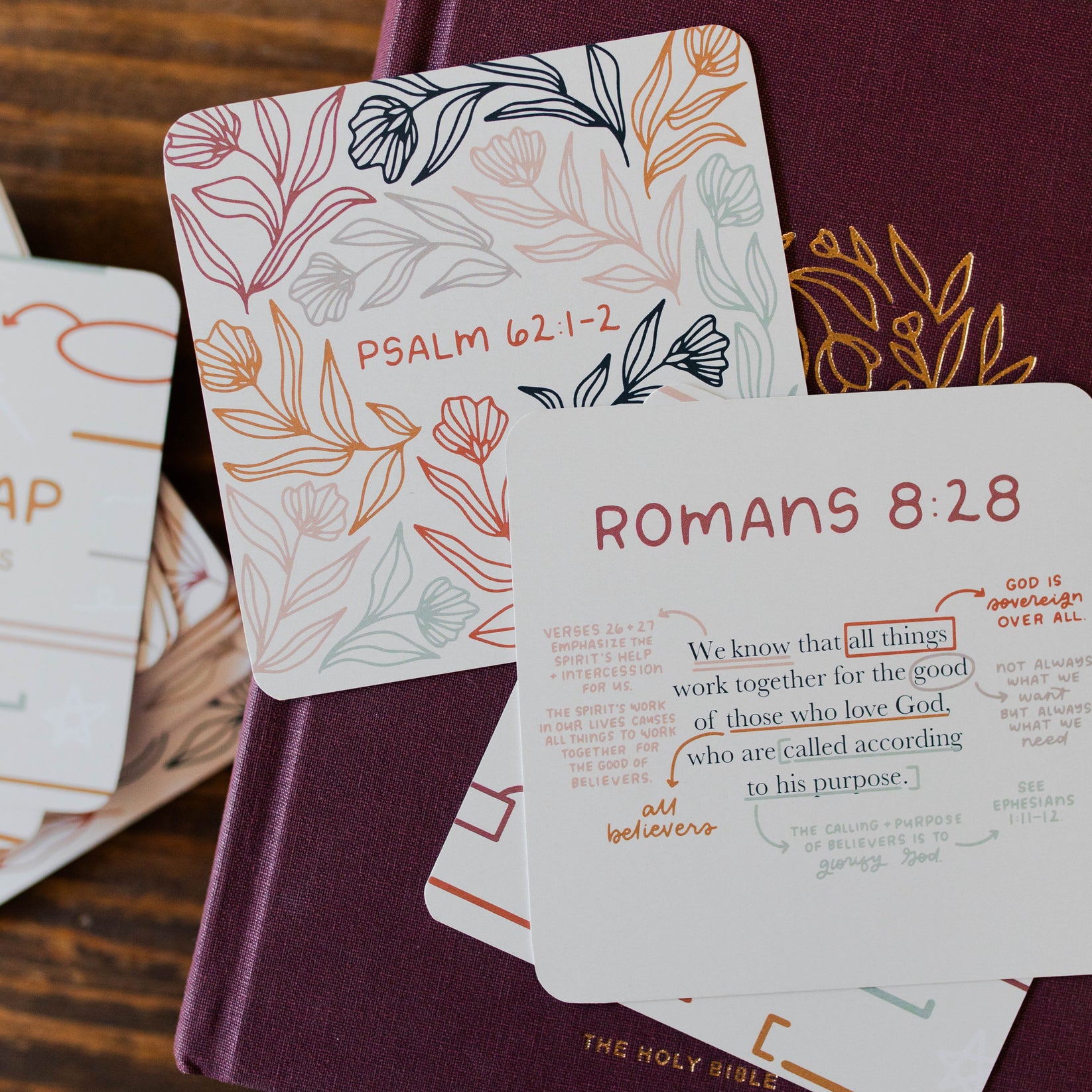Verse Map Scripture Cards – The Daily Grace Co.