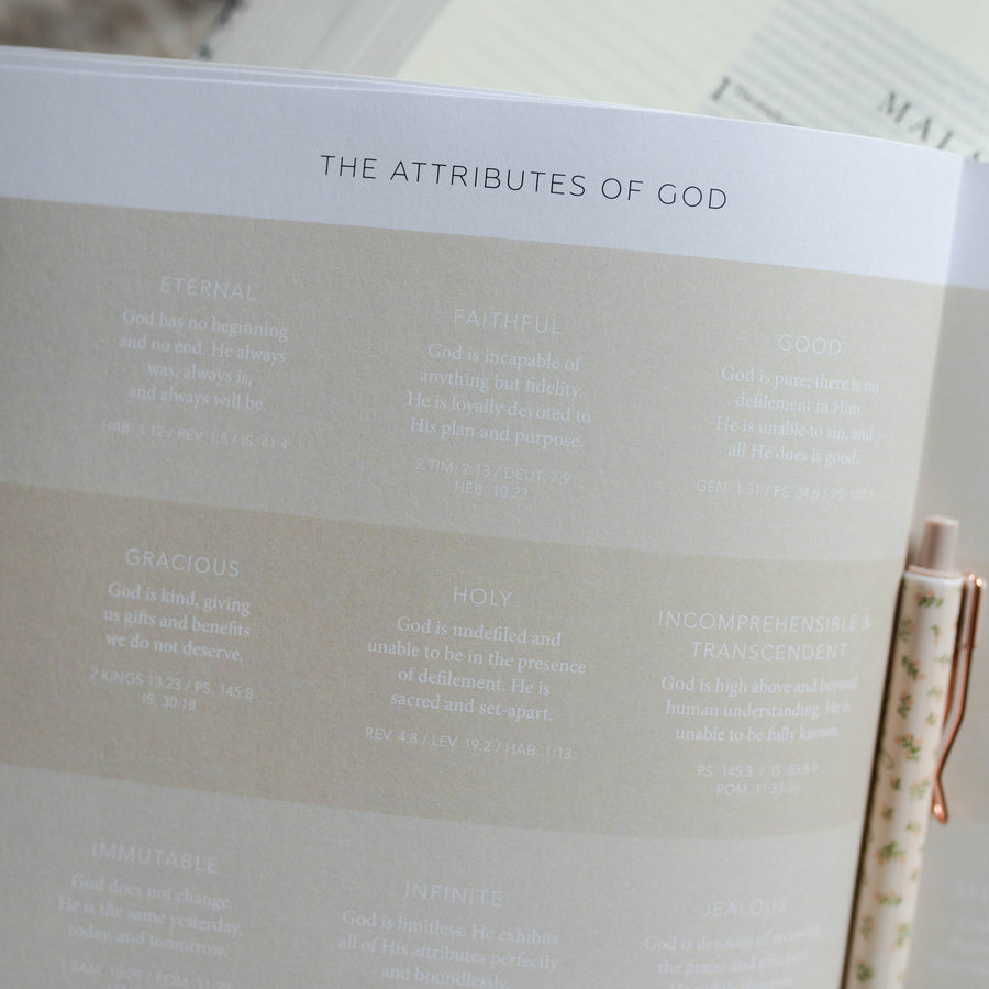 Waiting for Hope | Malachi Bible Study | TDGC – The Daily Grace Co.