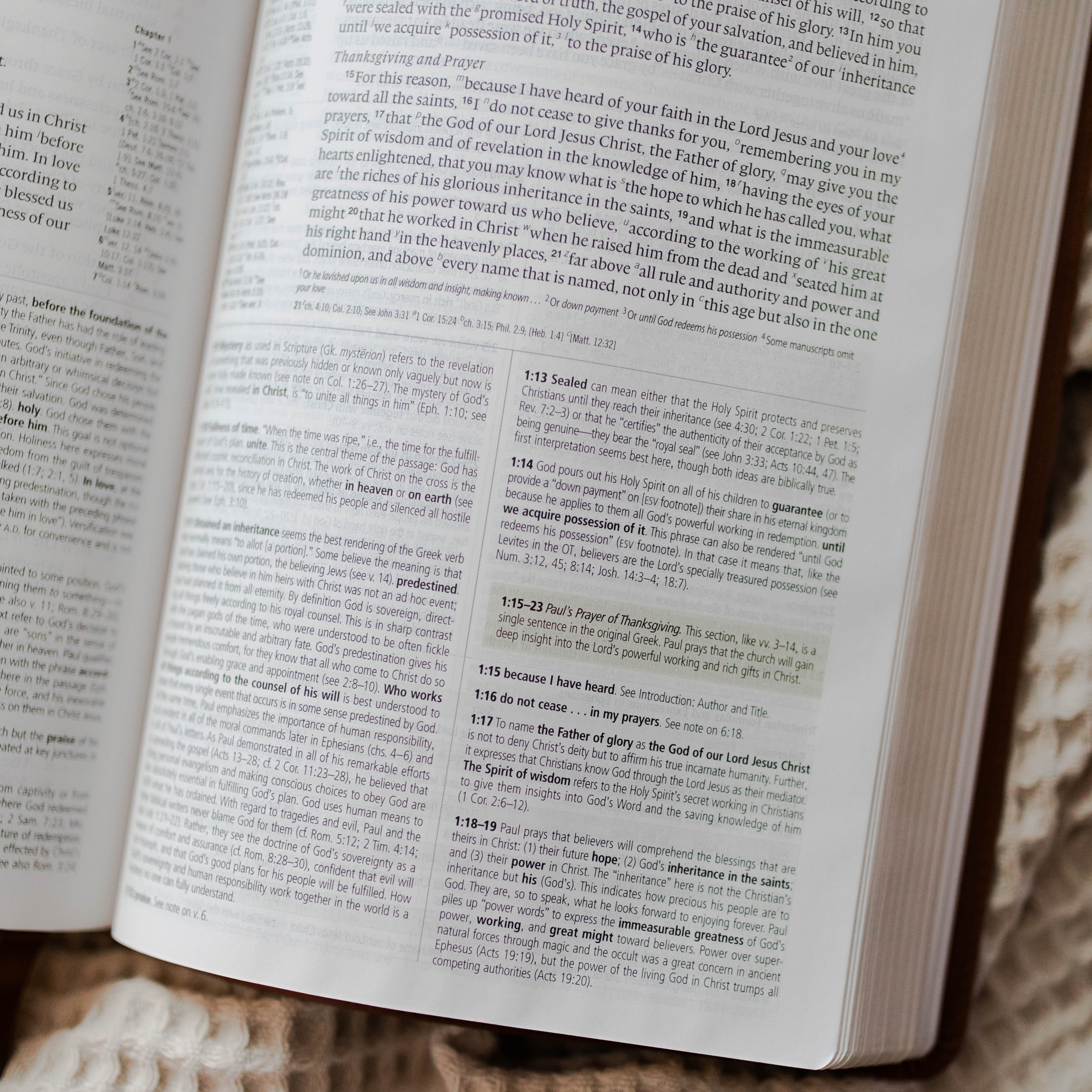 ESV Study Bible, TruTone® | Wondrous Things – The Daily Grace Co.