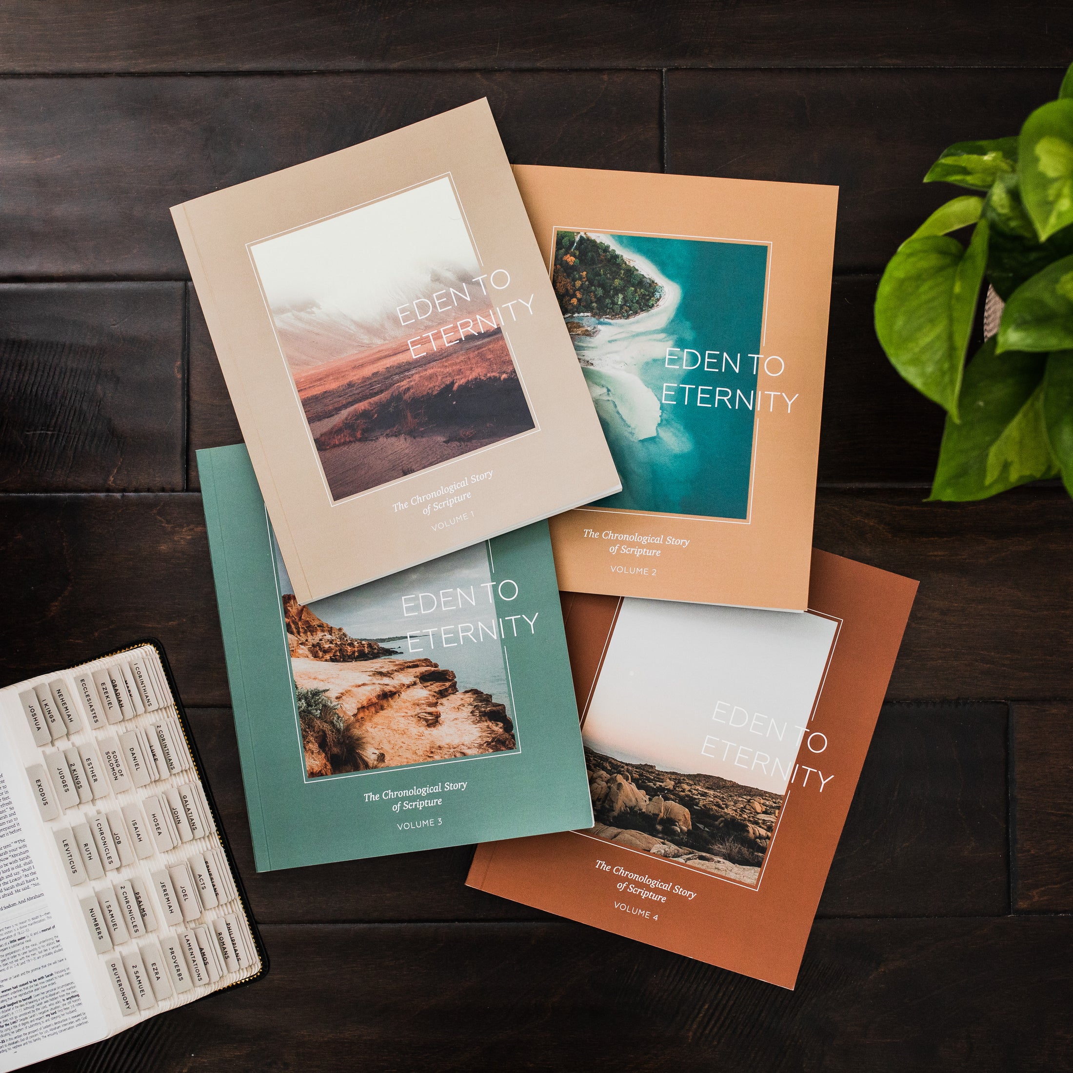 Eden to Eternity | The Chronological Story of Scripture Bundle - Men ...