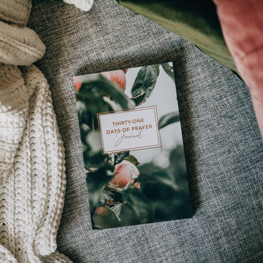 Thirty-One Days of Prayer Journal | TDGC – The Daily Grace Co.