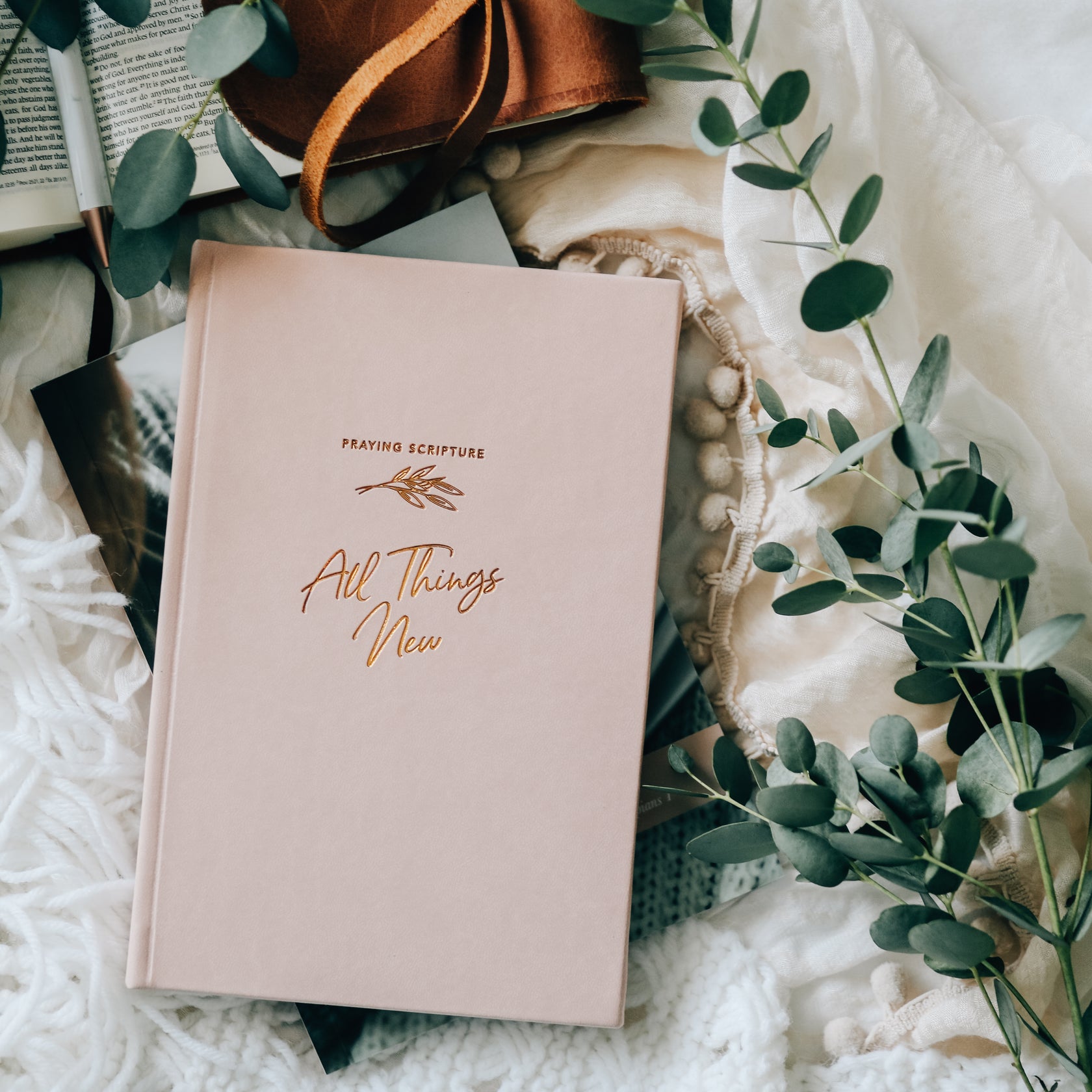 All Things New - Praying Scripture Journal | TDGC – The Daily Grace Co.