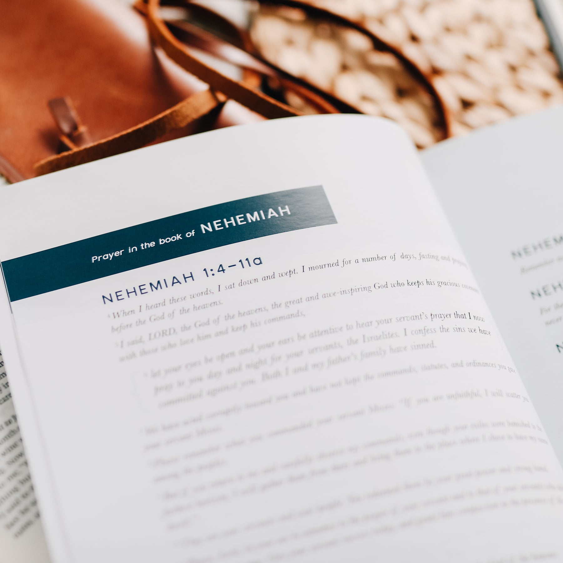 Arise | Nehemiah Bible Study | TDGC – The Daily Grace Co.