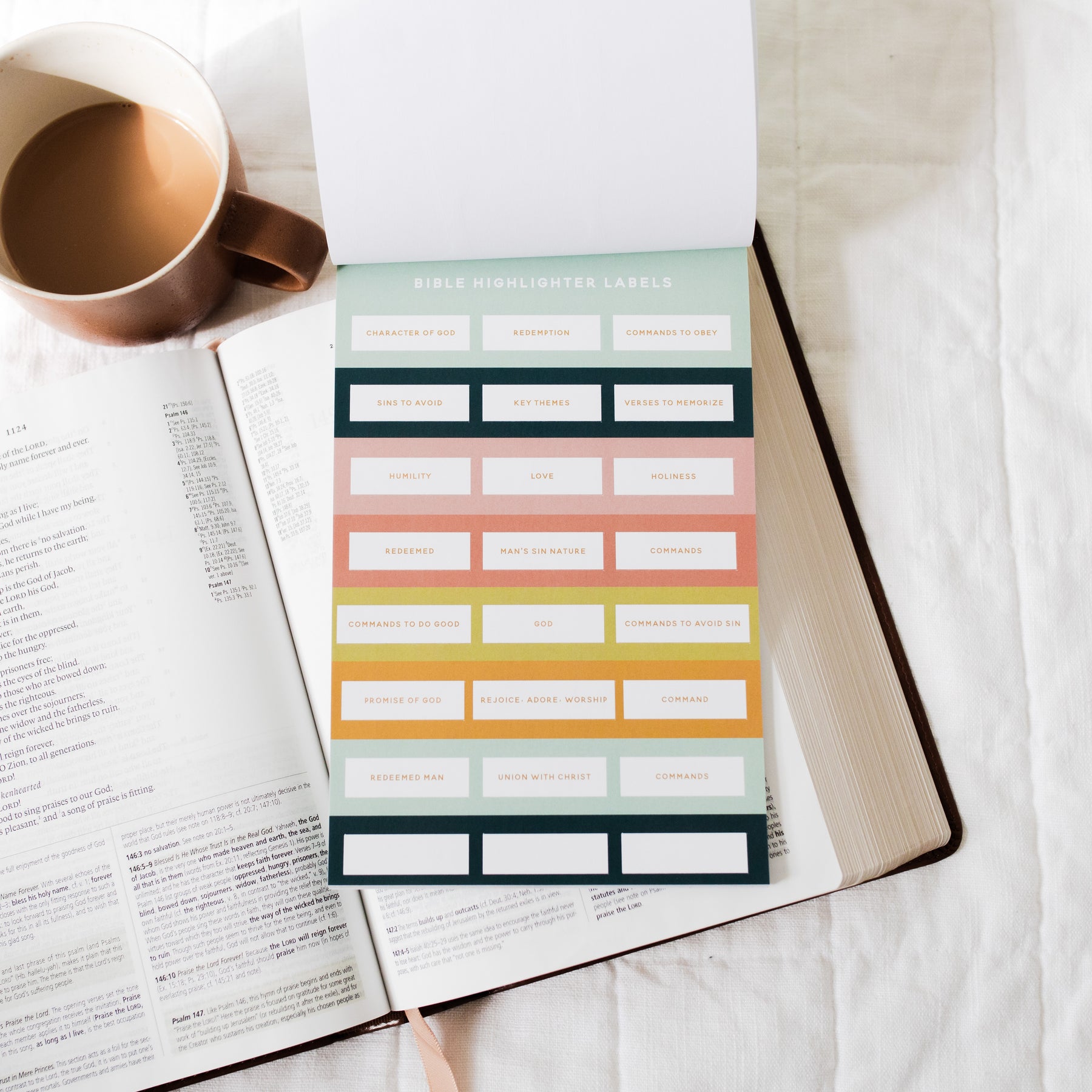 Christian Bible Study Tools Bible Reading Tracker Stickers - Bookshelf ...