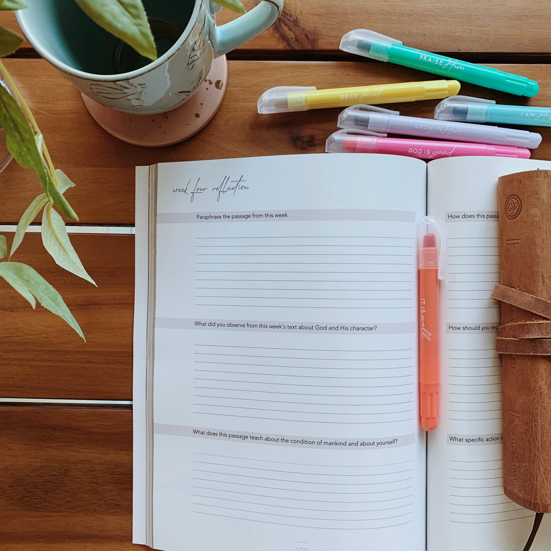 Colossians - Rooted in Him | TDGC – The Daily Grace Co.